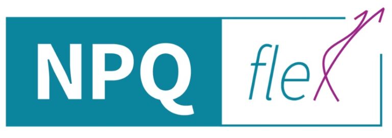 NPQ – National Professional Qualification – Northern Lights Teaching ...